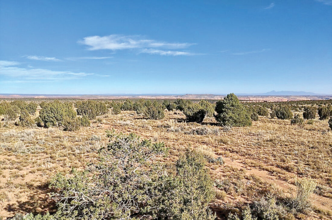 WVU researcher studying megadrought | News, Sports, Jobs - The ...